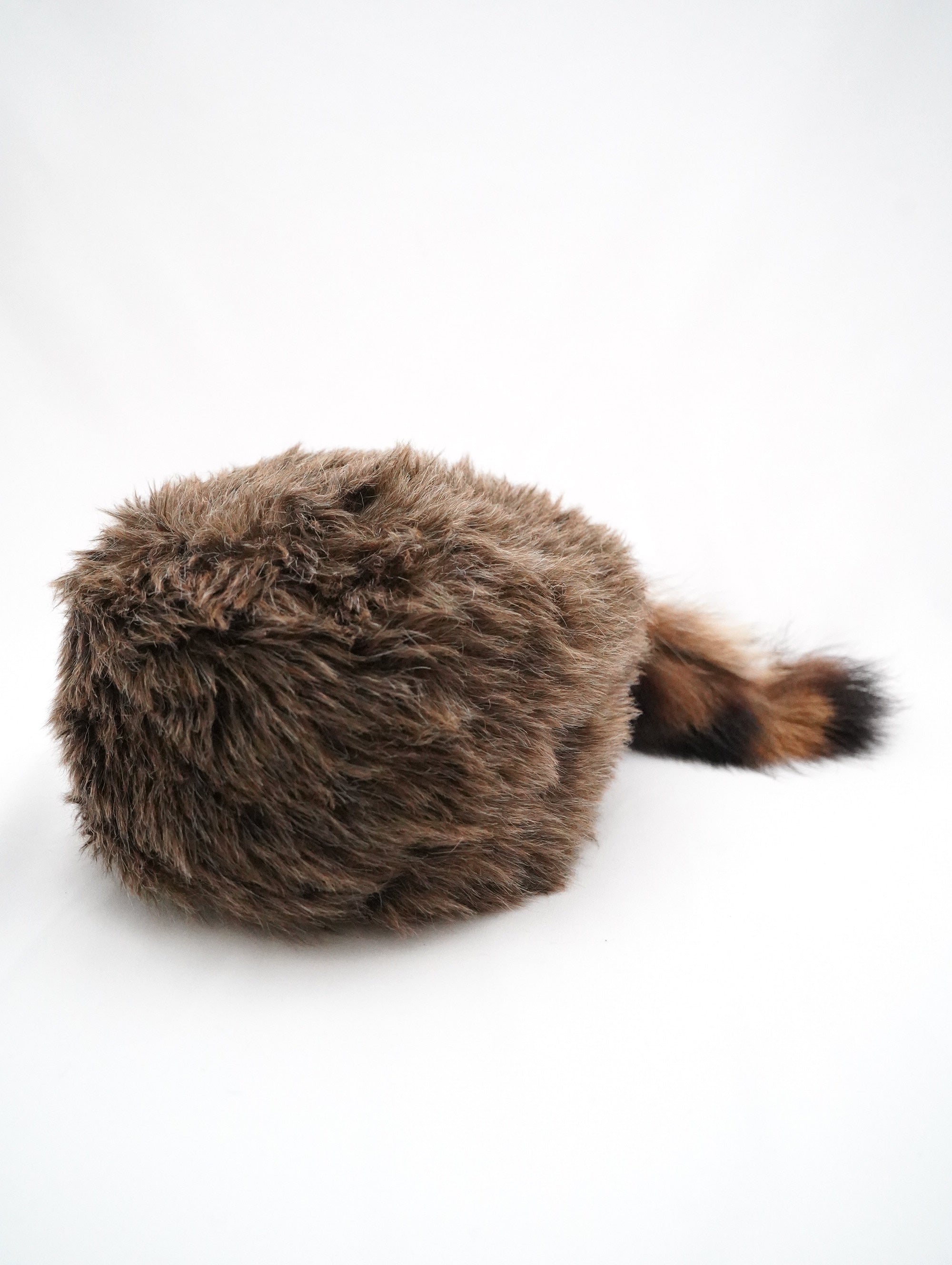 coonskin cap – NEVERKNOWS
